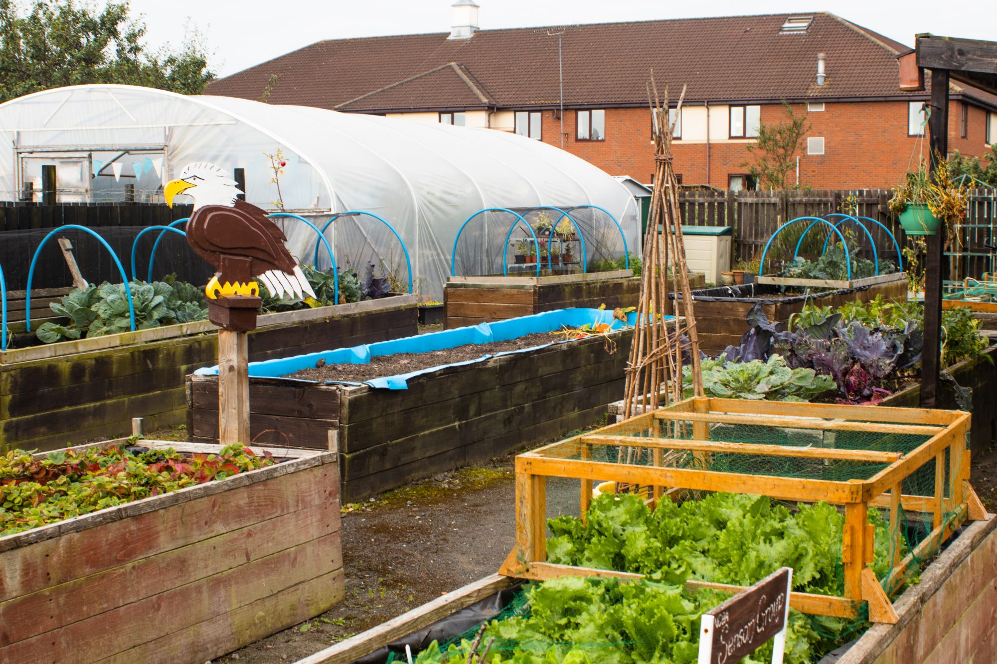 Community Gardens and Allotments – Stobhill Link